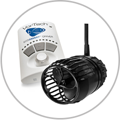 Gift Cards / Dry Goods – Seattle Corals